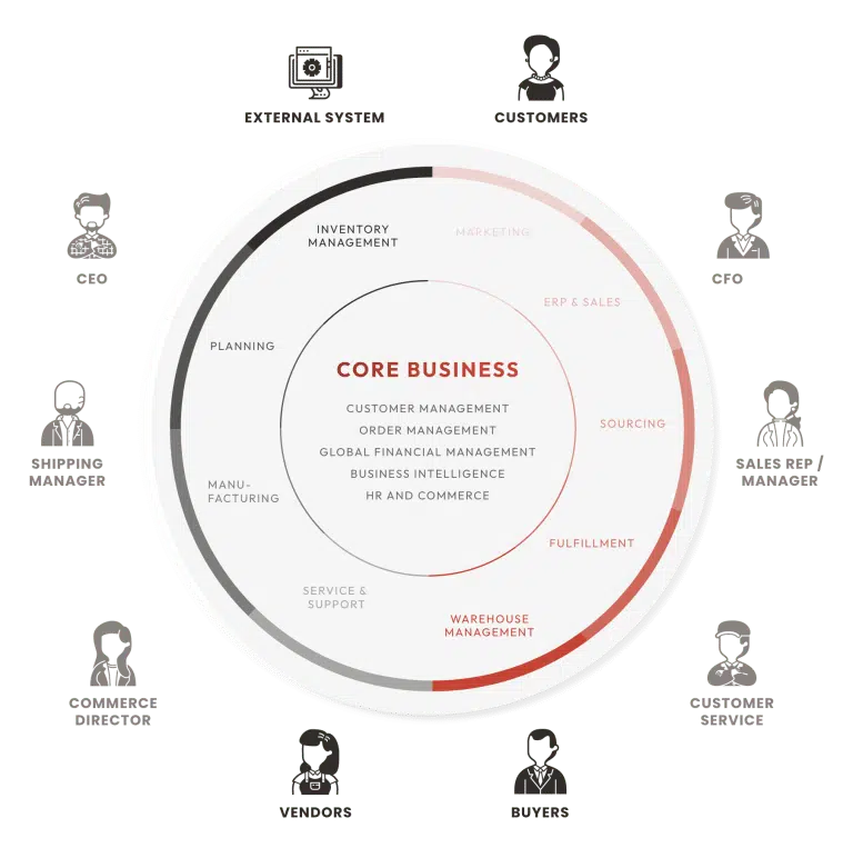 Oracle Netsuite - Humanica